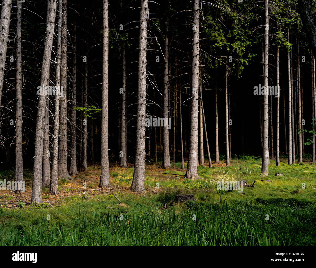 Germany 1997 hi-res stock photography and images - Alamy