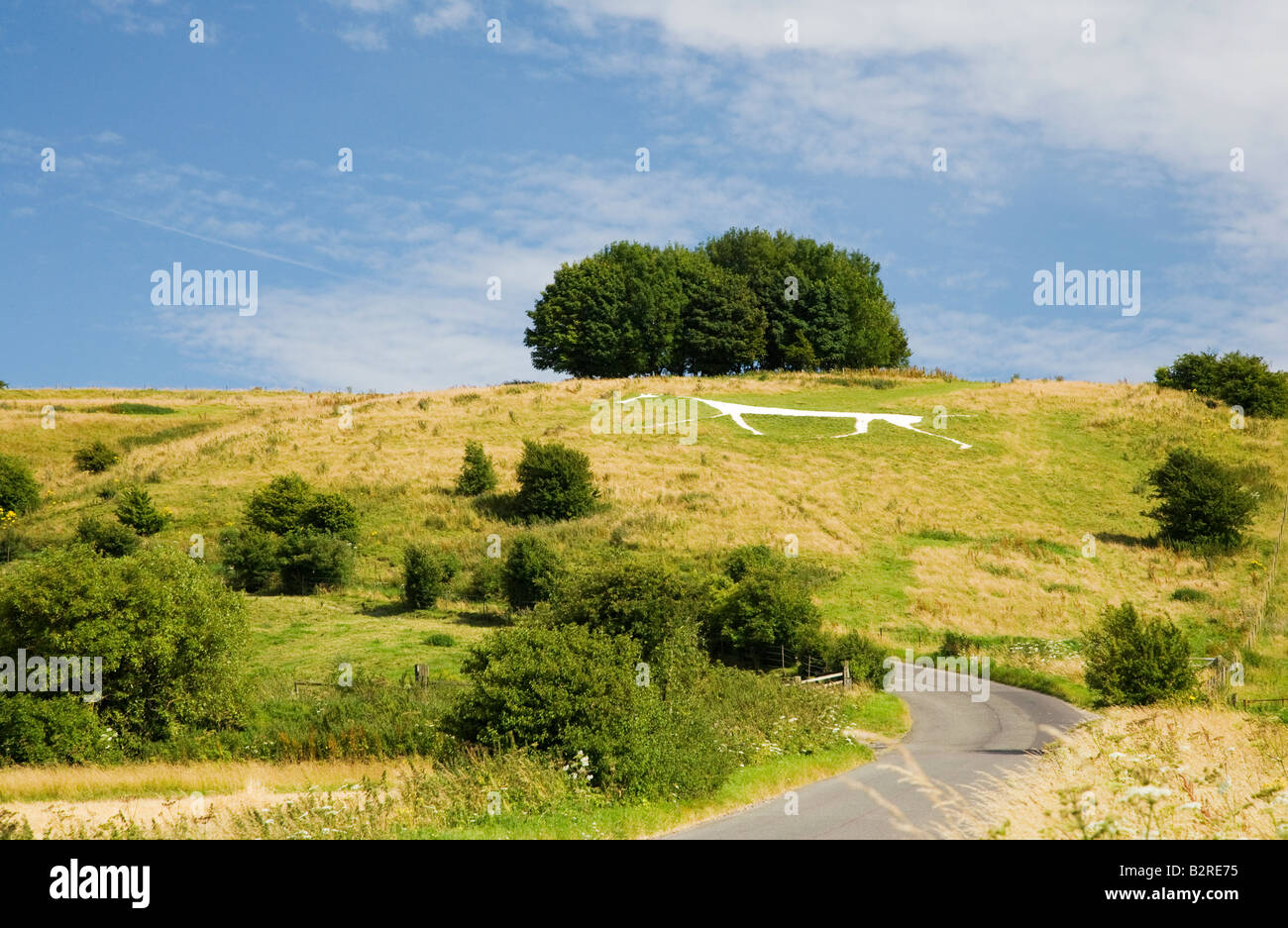 Hackpen White Horse and Hackpen Hill taken from the road from Broad ...