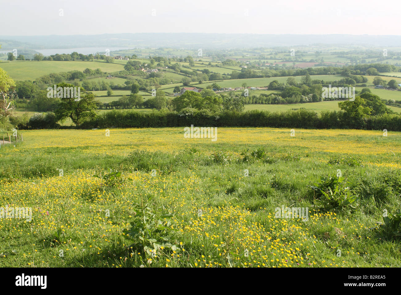 Rural valley views in Somerset Engalnd Stock Photo - Alamy