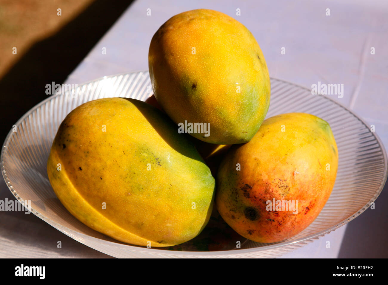 National fruits of bangladesh hi-res stock photography and images - Alamy