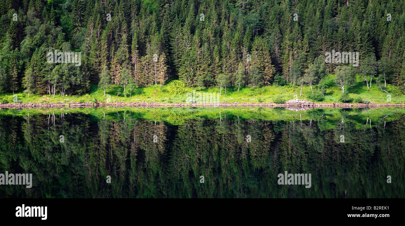 Norway Vinjo lakeside forest panoramic view Stock Photo - Alamy