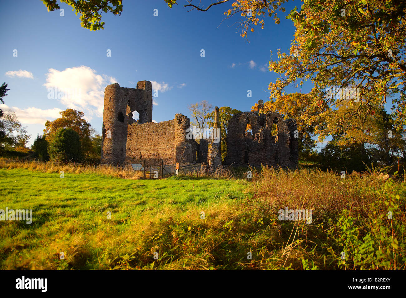 Grosmont Castle, South Wales, UK Stock Photo - Alamy