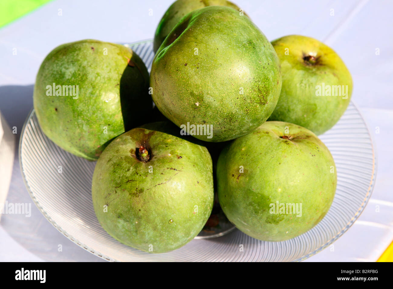 National fruits of bangladesh hi-res stock photography and images - Alamy
