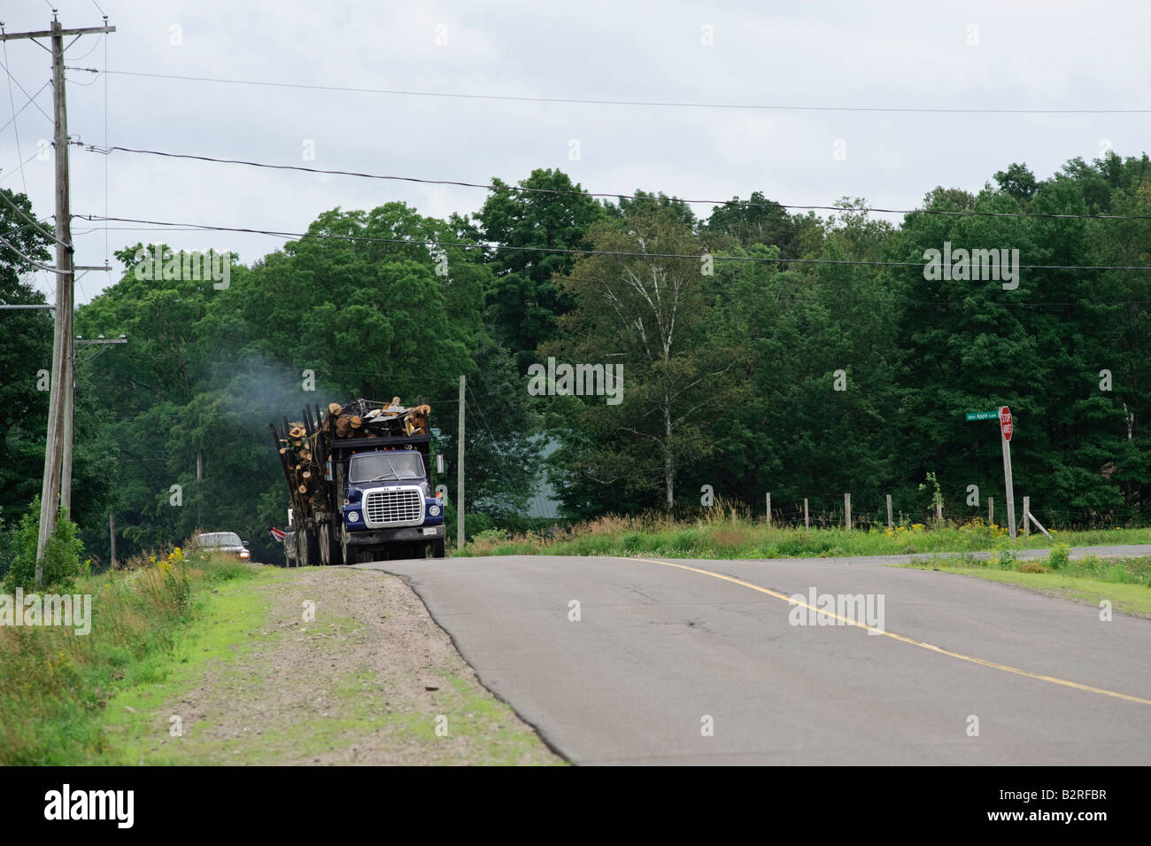 Logging truck on road hi-res stock photography and images - Alamy