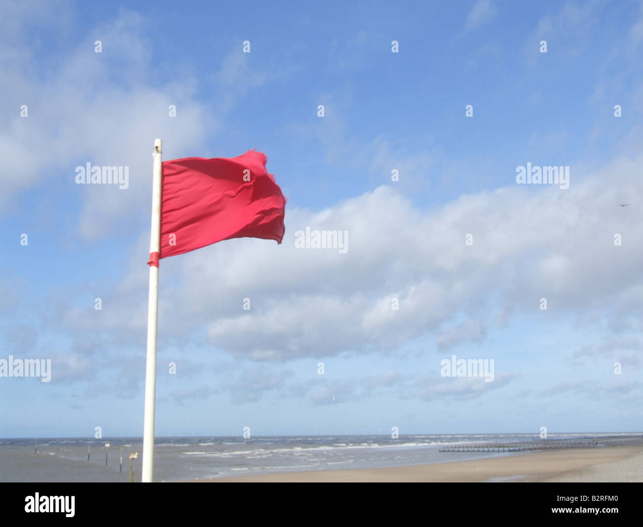 one red warning flag flying in wind by beach Stock Photo - Alamy