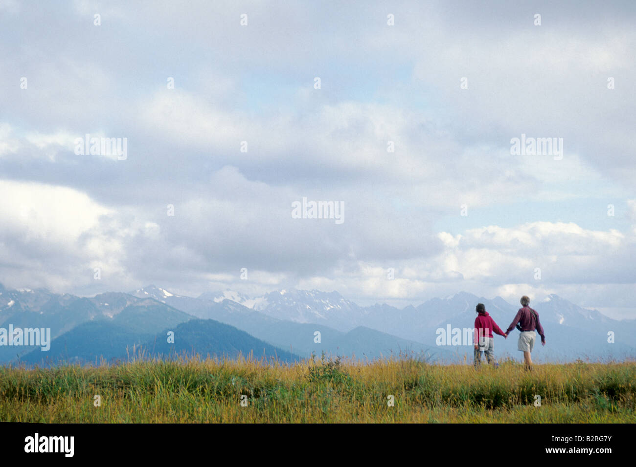 Hurricane Ridge, Olympic National Park, Washington State Stock Photo ...