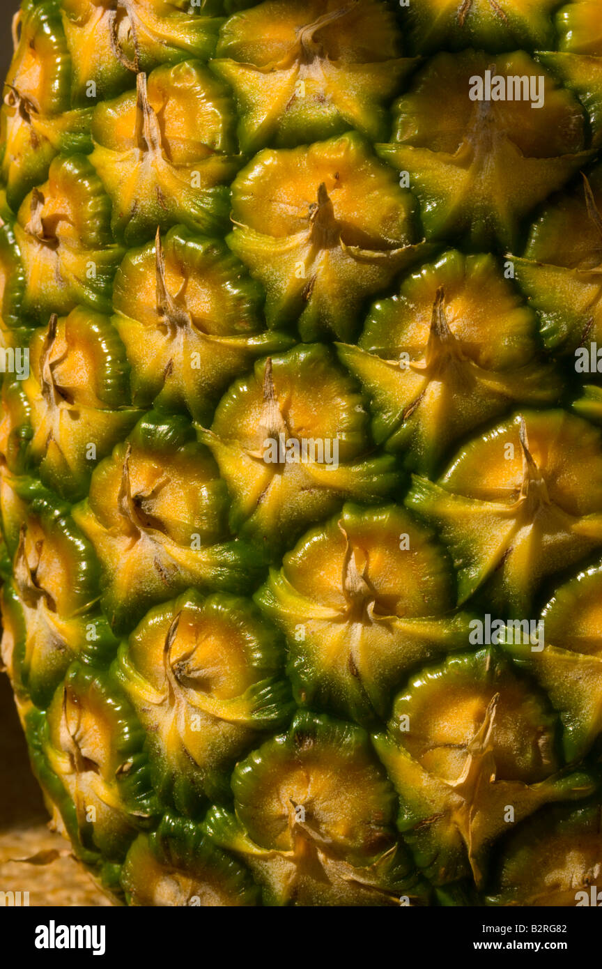 pineapple skin closeup Stock Photo - Alamy