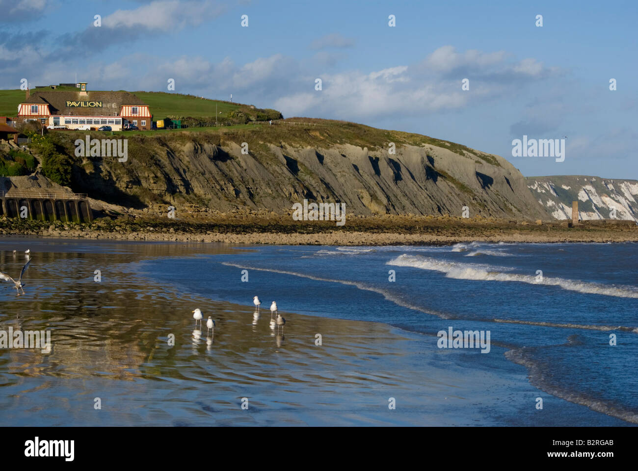 Europe UK england kent folkstone beach Stock Photo - Alamy