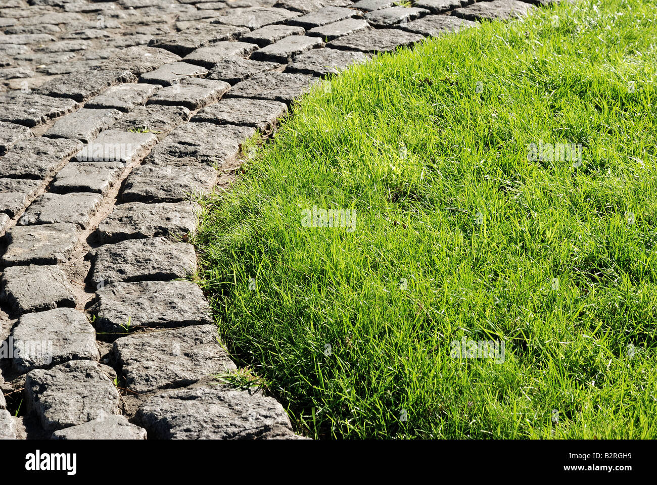 green grass and stone. Lawn Stock Photo - Alamy