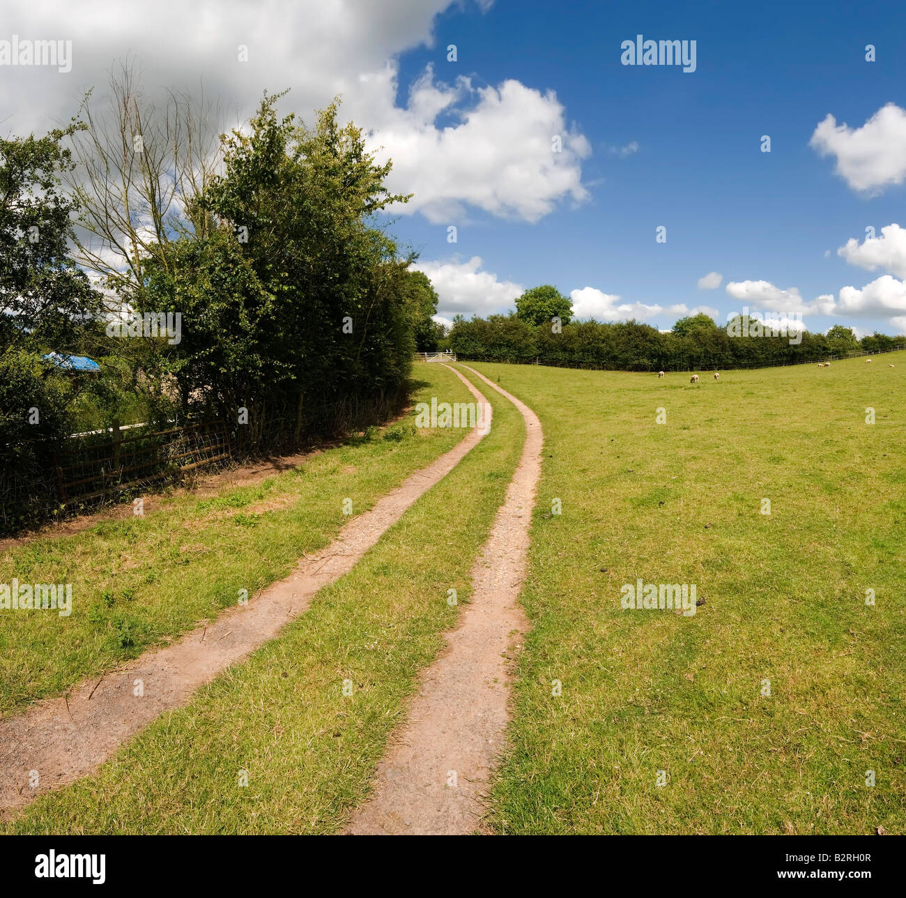 Monarchs way long distance footpath hi-res stock photography and images ...