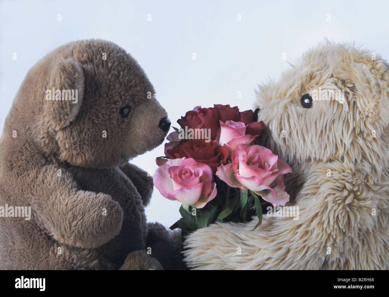 Cuddling Teddy Bear Holding Flowers