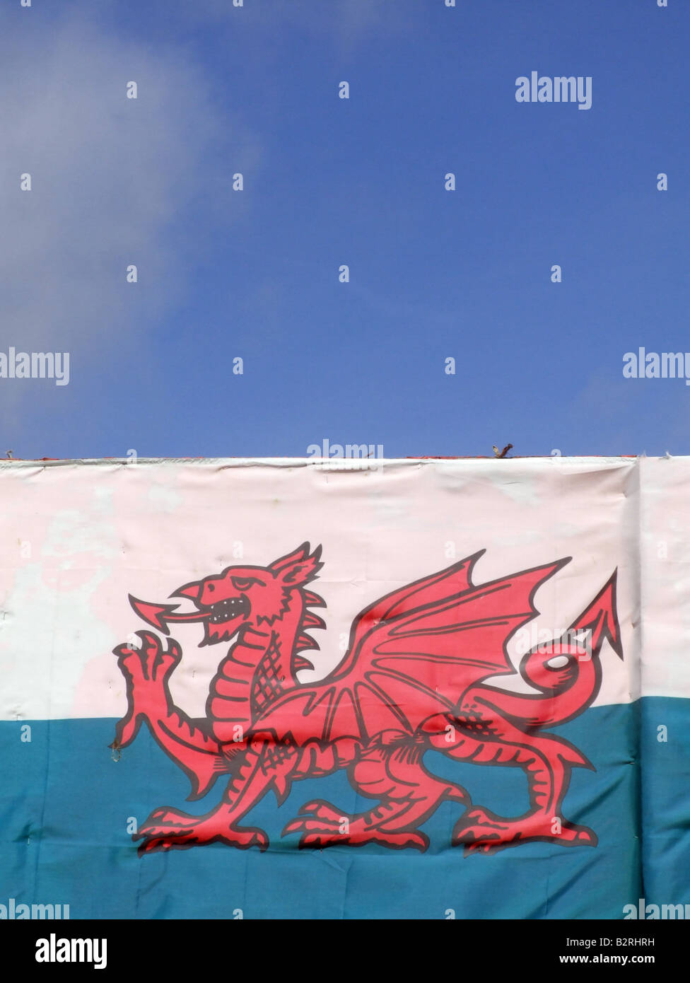 wales flying in strong wind in blue sky Stock Photo - Alamy