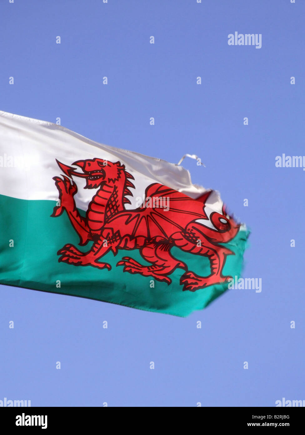 flag of wales flying in strong wind in blue sky Stock Photo - Alamy