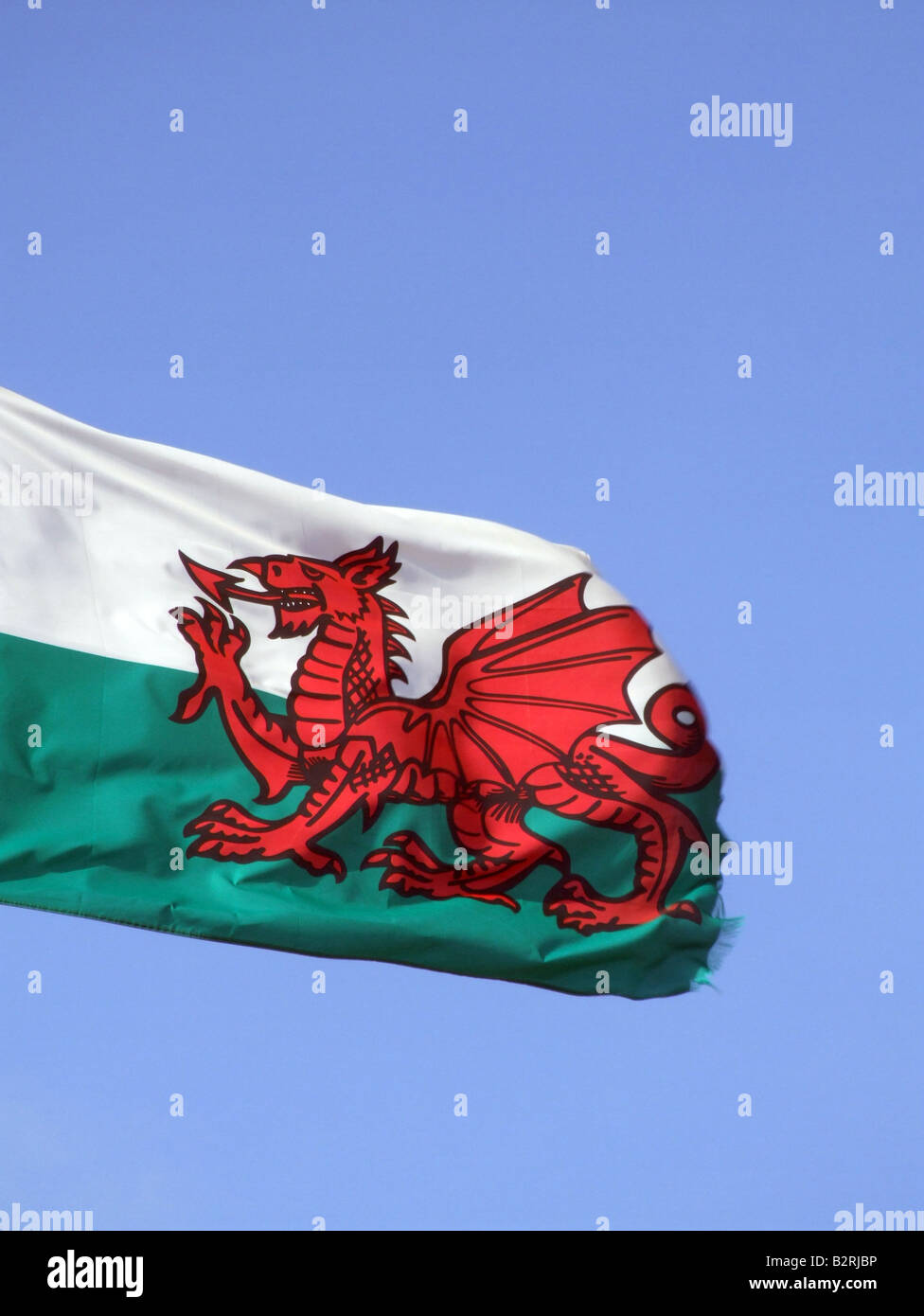 flag of wales flying in strong wind in blue sky Stock Photo - Alamy