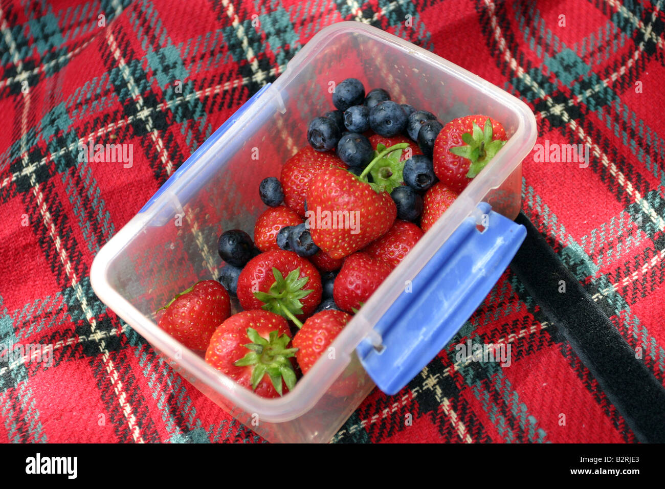 Blueberries in a box hi-res stock photography and images - Alamy