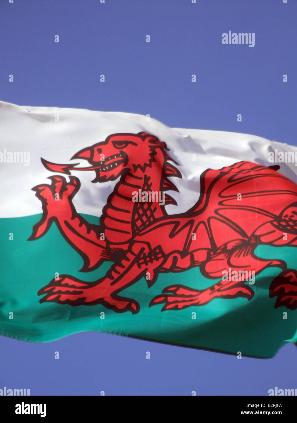 wales flying in strong wind in blue sky Stock Photo - Alamy
