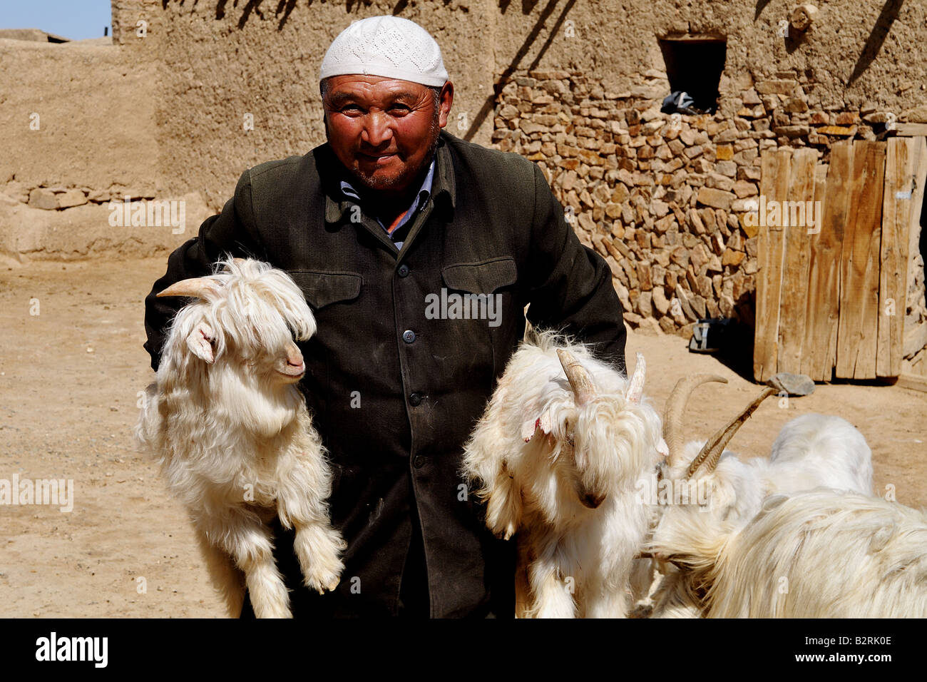 What is the subgroups of Turanid?