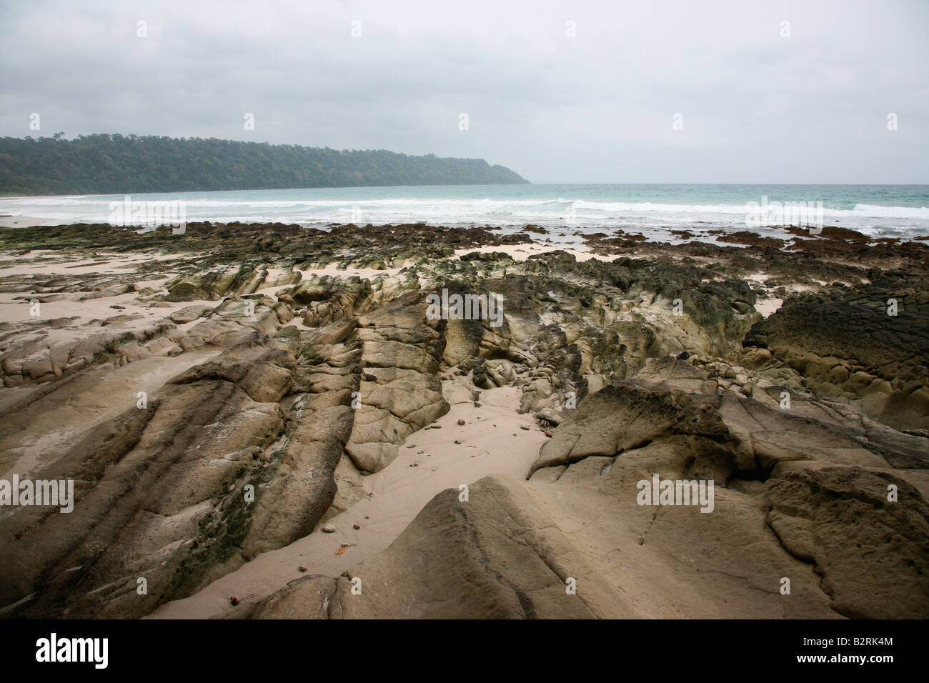 Beach at Havelock island,Andaman,India Stock Photo - Alamy