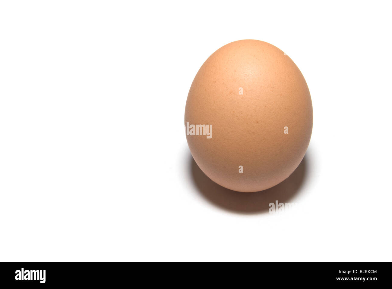 Chicken egg hi-res stock photography and images - Alamy