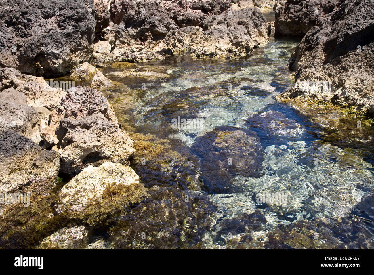 Sea rock pool hi-res stock photography and images - Alamy