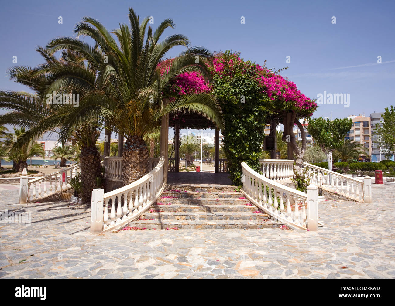 Palm tree stand Stock Photo - Alamy
