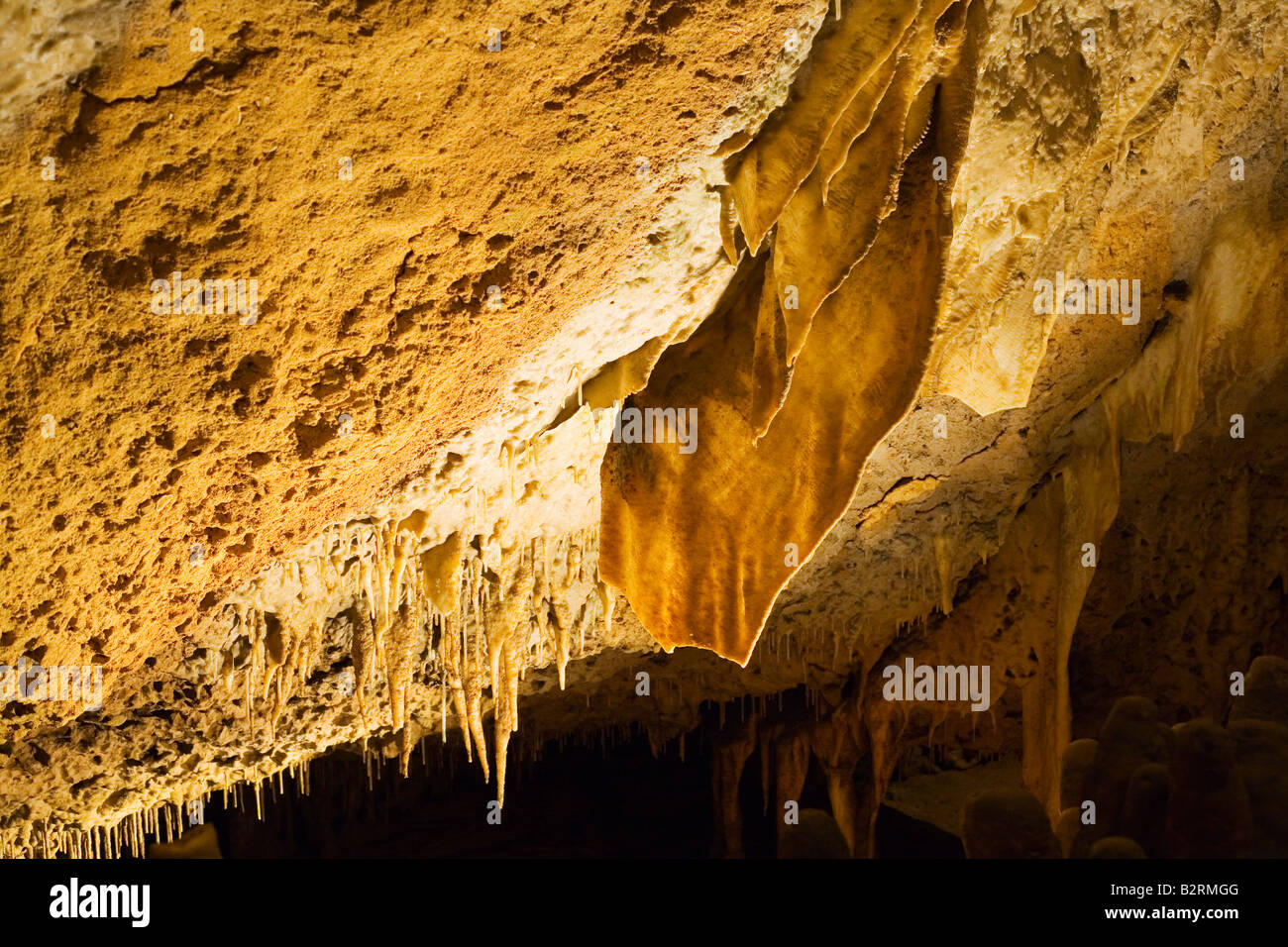 Florida caverns state park hi-res stock photography and images - Alamy