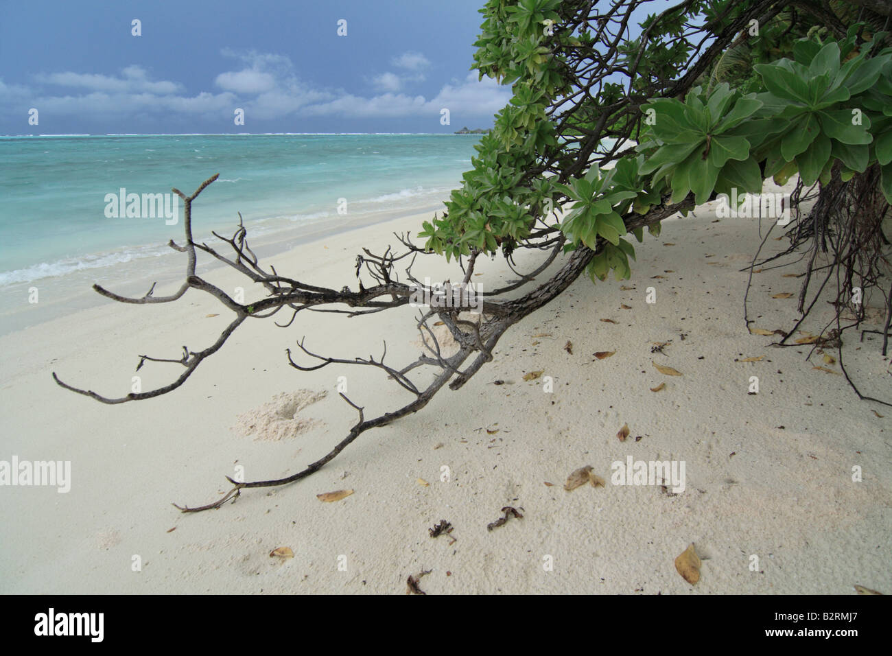 Sand beach, Maldives Stock Photo - Alamy