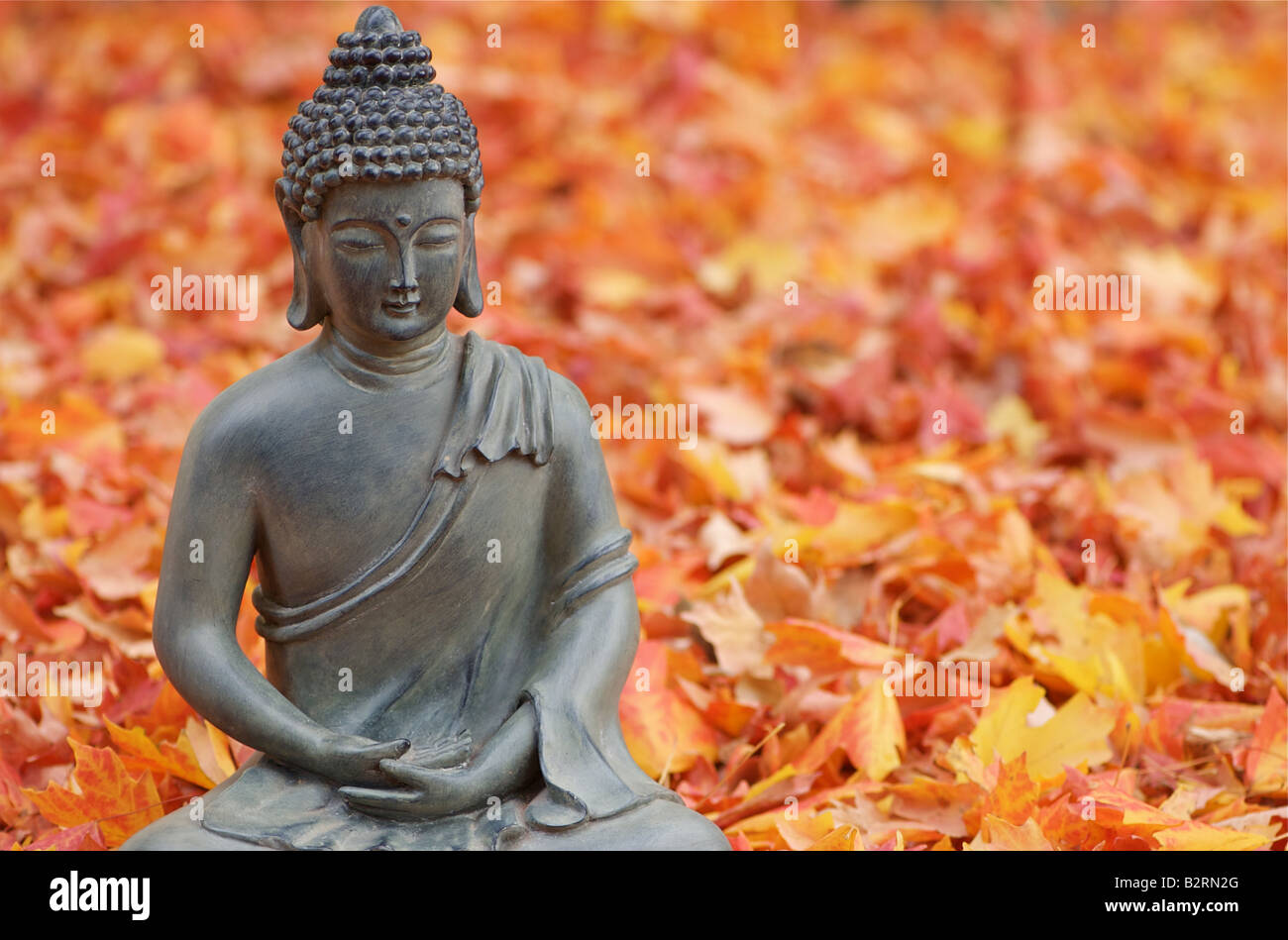 A statue of Buddha in a meditating pose rests in bright orange Fall ...
