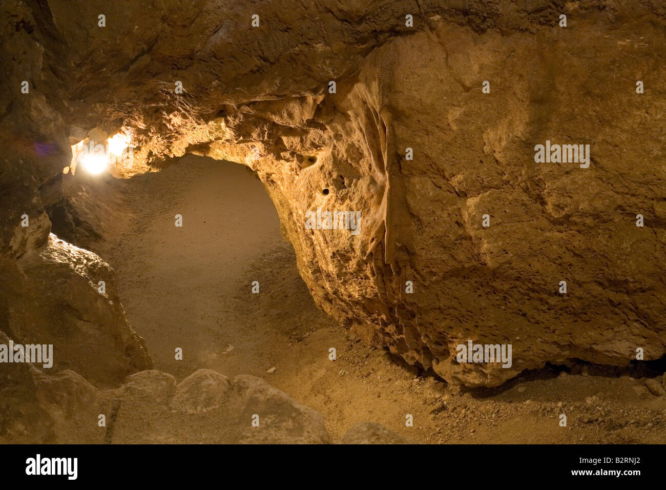 Florida Caverns State Park Stock Photo - Alamy