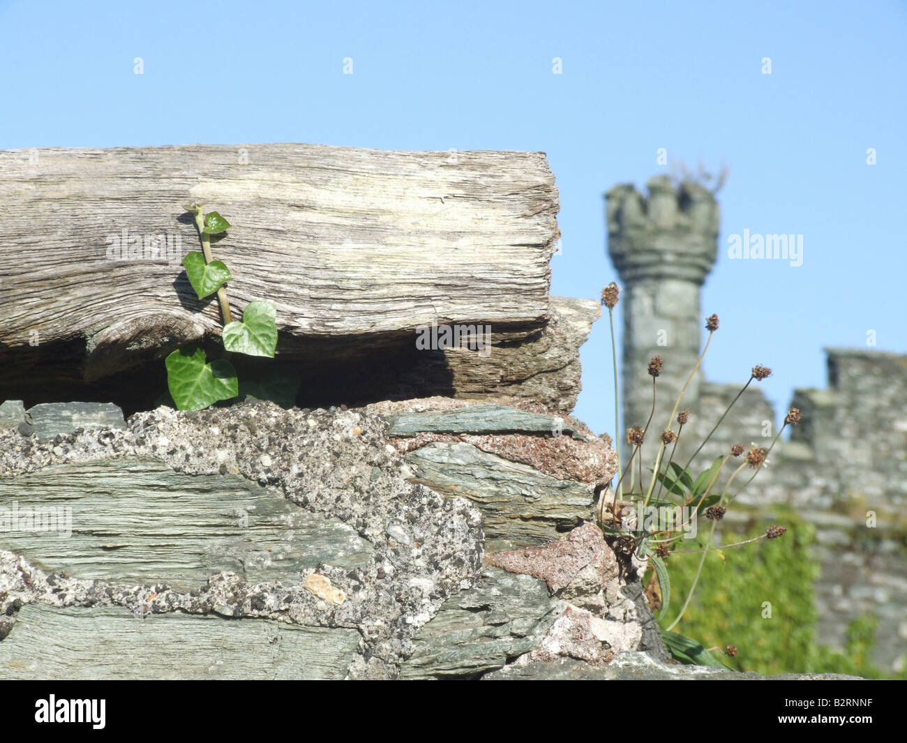 old castle tower at private home in holyhead wales Stock Photo - Alamy