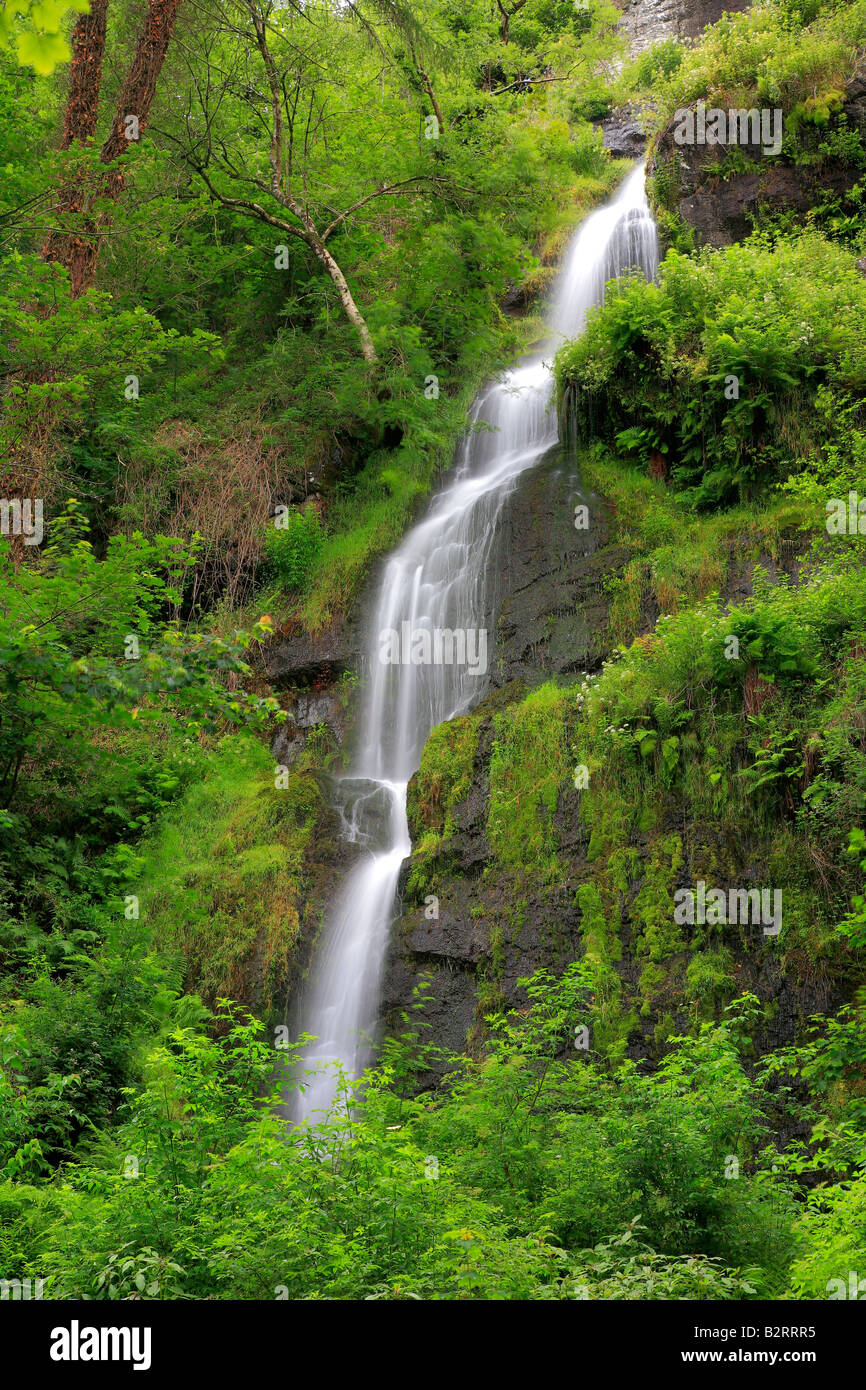 Canonteign Waterfalls the highest waterfalls in England Chudleigh ...