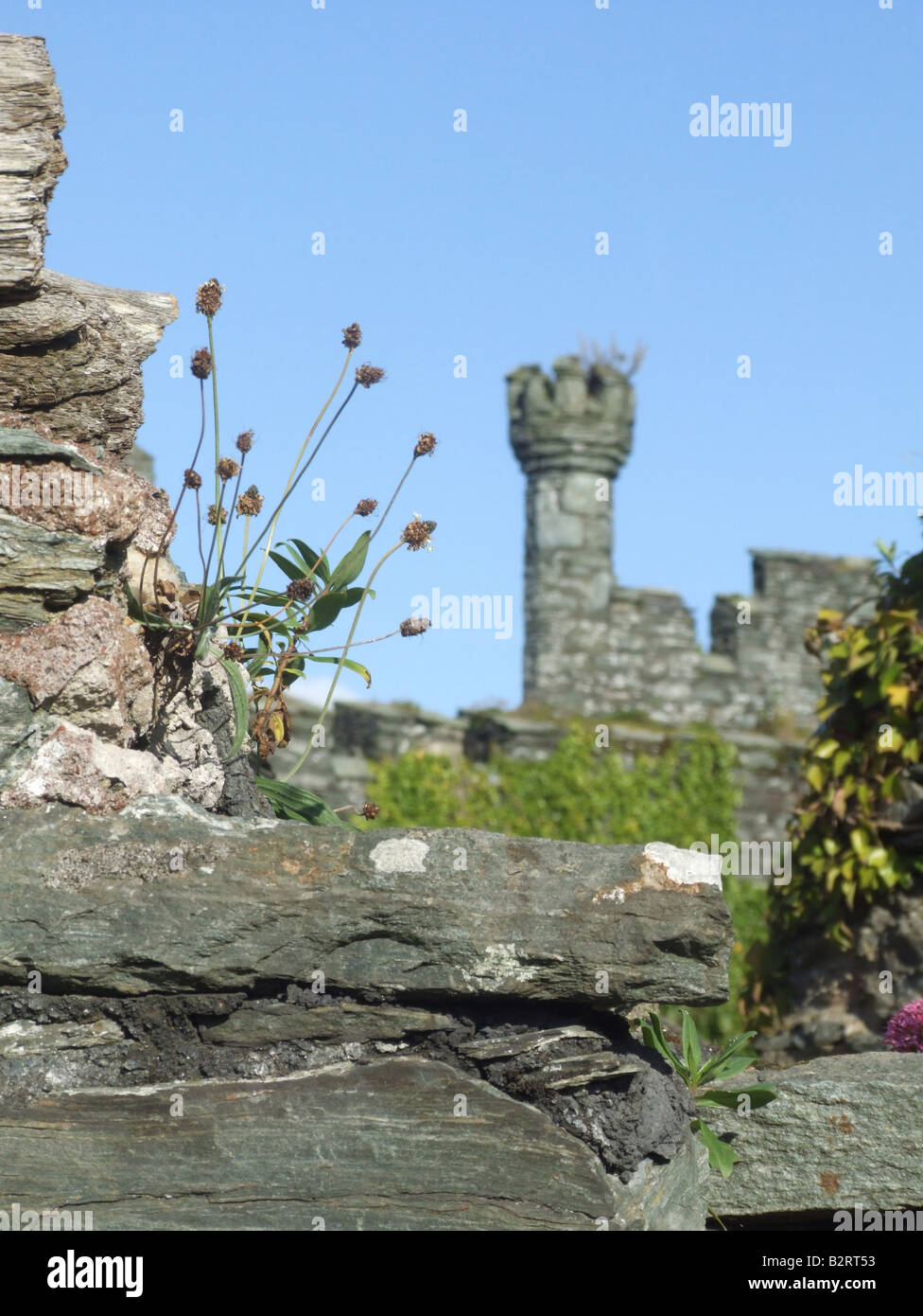 old castle tower at private home in holyhead wales Stock Photo - Alamy