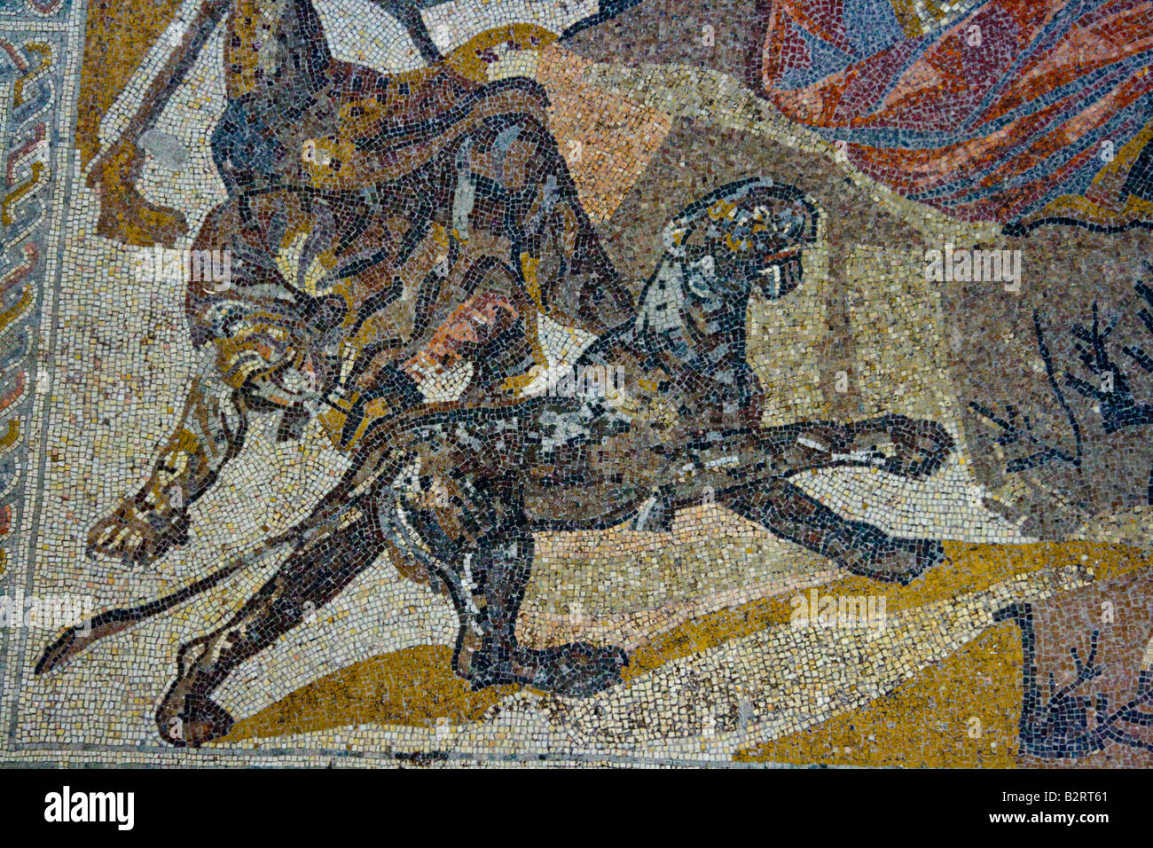 Orpheus Mosaic at Museum in Shahba Syria Stock Photo - Alamy