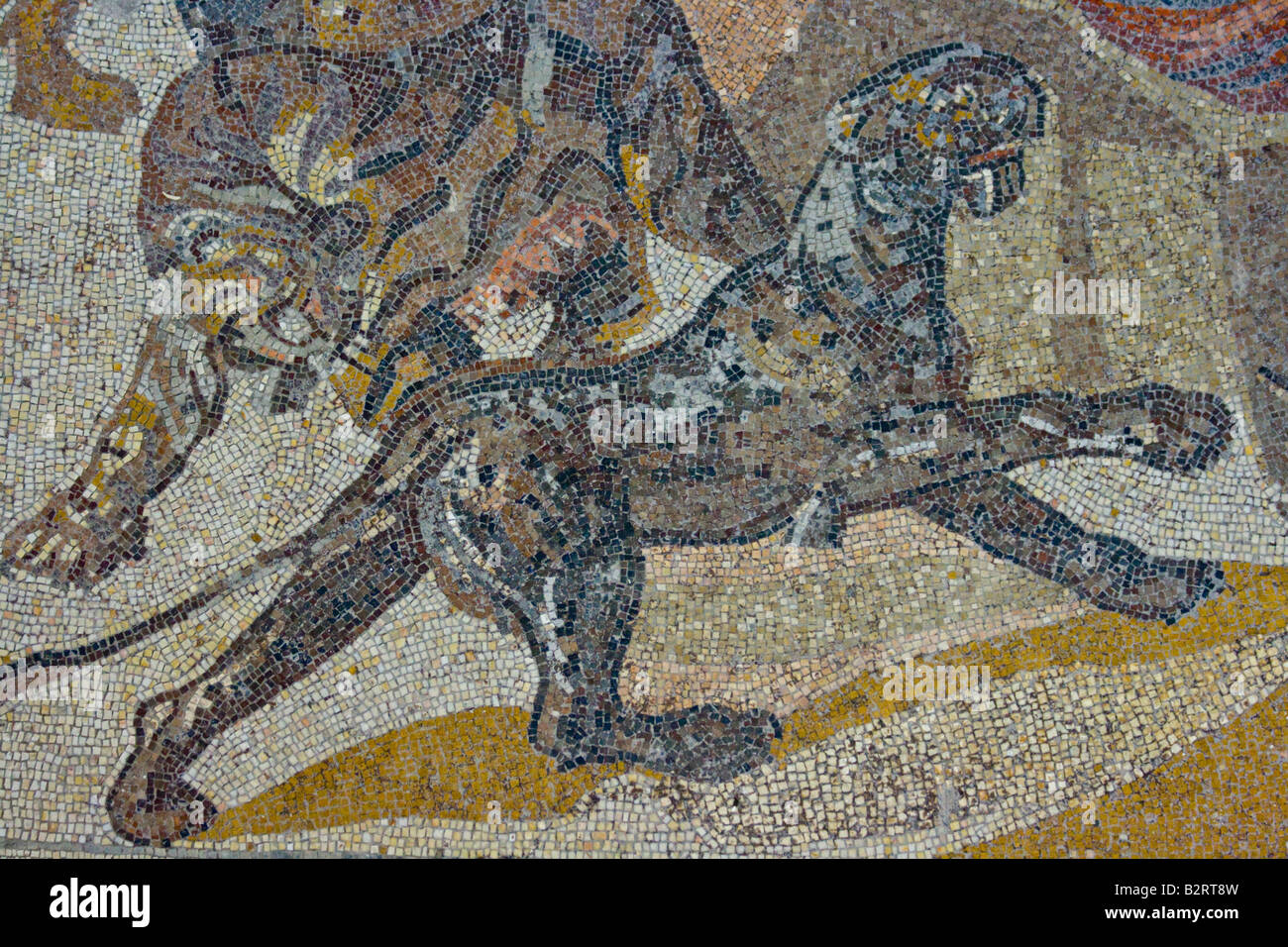Orpheus Mosaic at Museum in Shahba Syria Stock Photo - Alamy