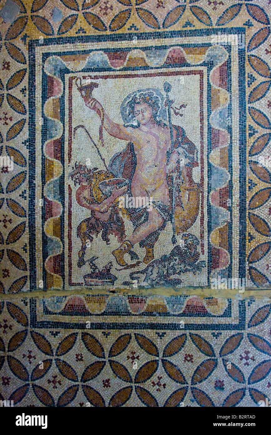 Roman Mosaic at Museum in Shahba Syria Stock Photo - Alamy