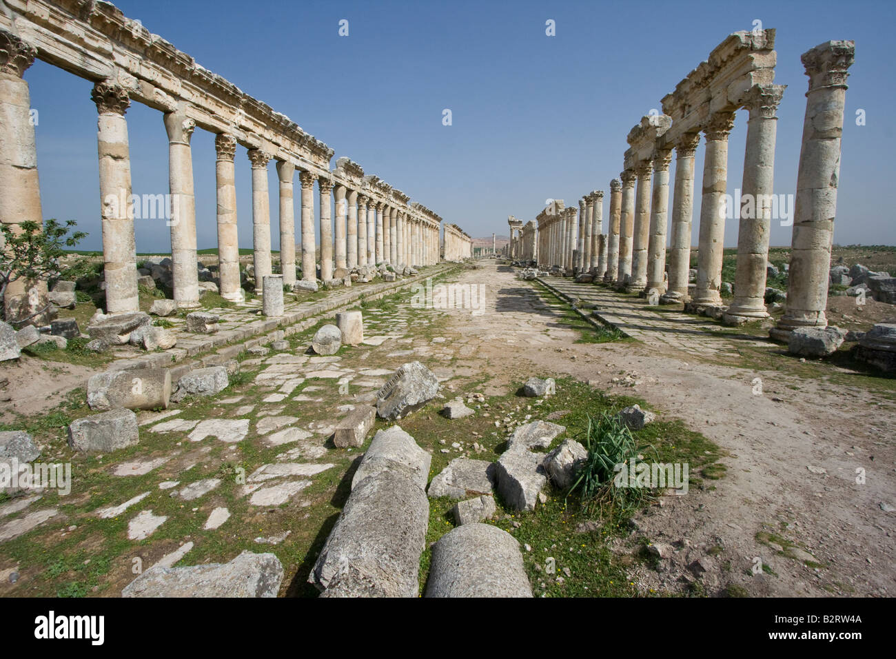 Roman ruins of apamea hi-res stock photography and images - Alamy