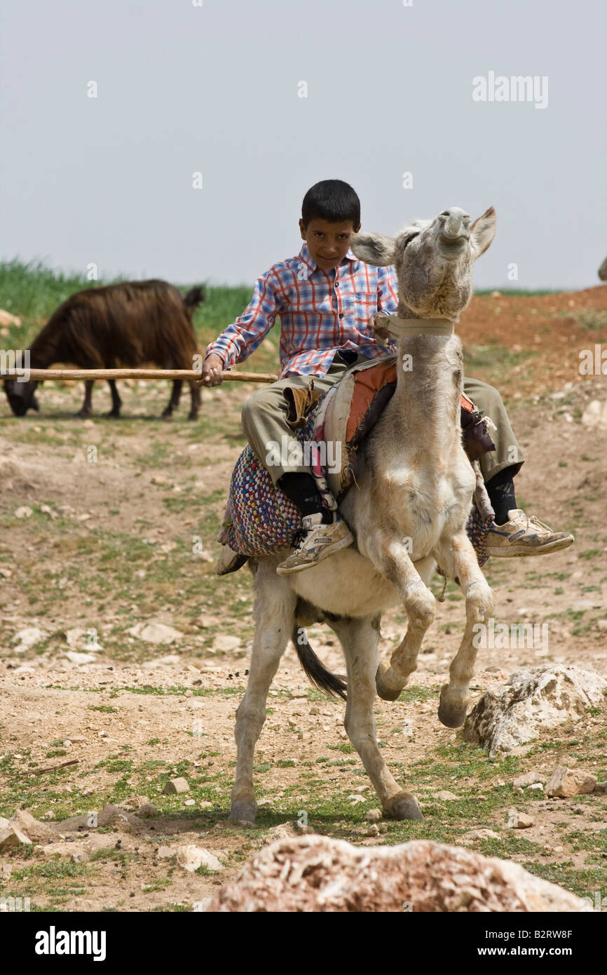 Shepherd Boy on a Donkey in Apamea Syria Stock Photo - Alamy