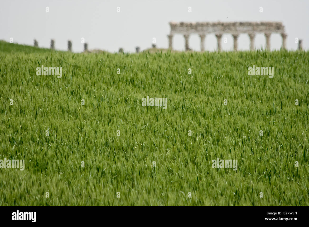 Roman agriculture hi-res stock photography and images - Alamy