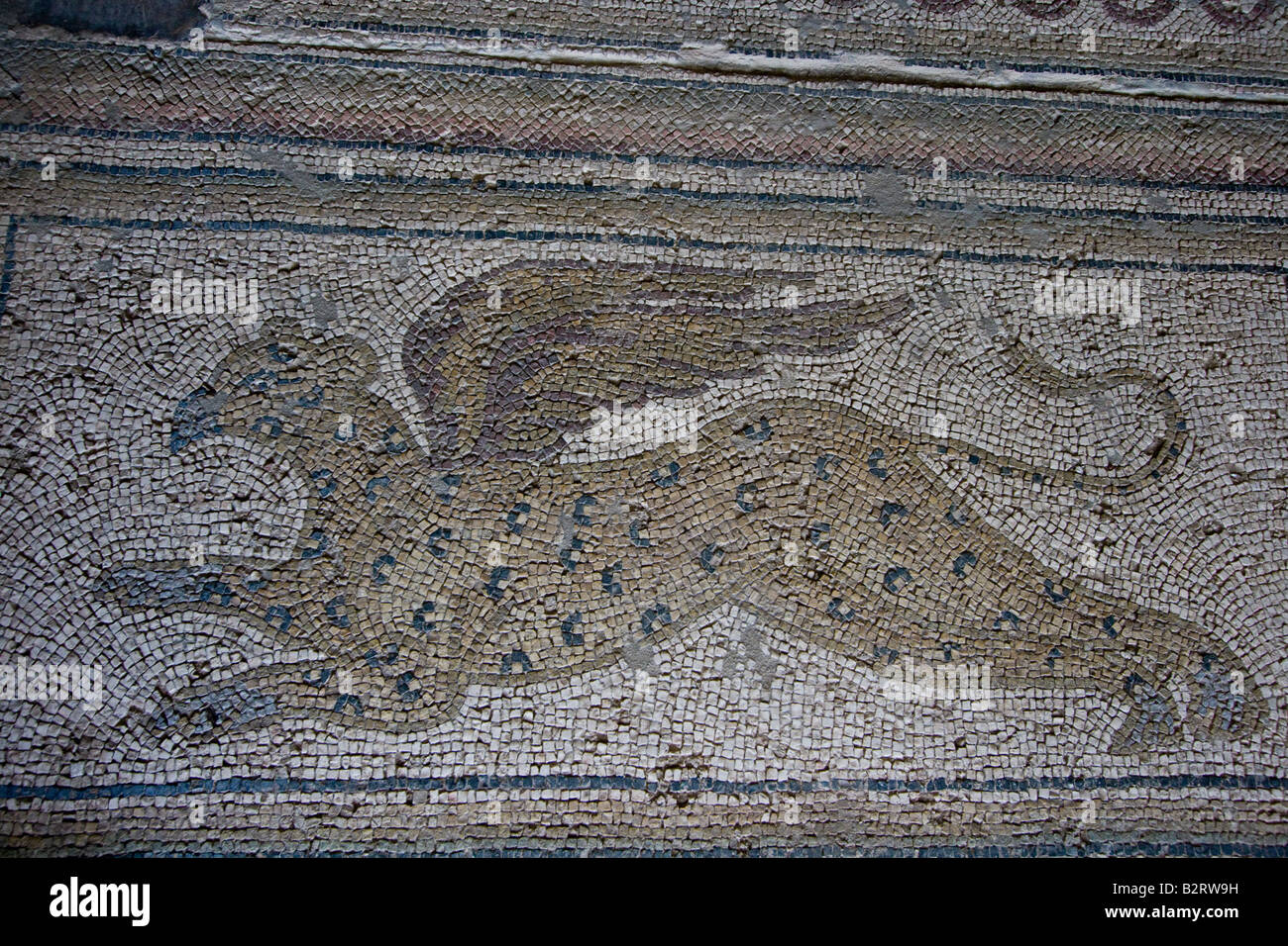Ancient Roman Tile Mosaics at the Museum in Apamea Syria Stock Photo ...