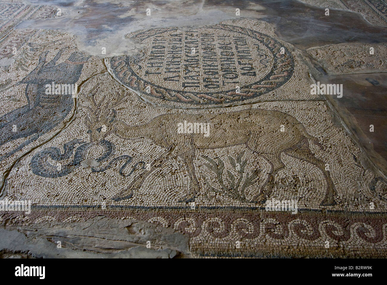 Ancient Roman Tile Mosaics at the Museum in Apamea Syria Stock Photo ...
