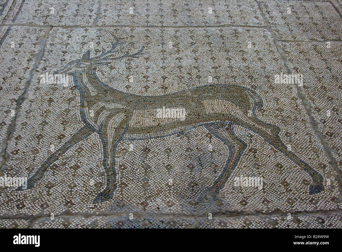 Apamea And Mosaic High Resolution Stock Photography and Images - Alamy