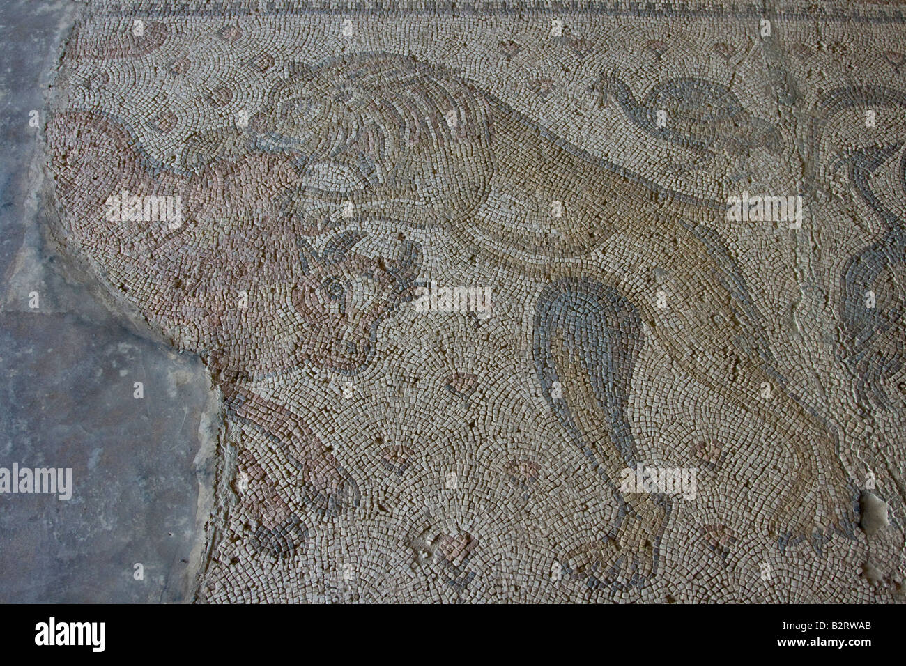 Apamea and mosaic hi-res stock photography and images - Alamy