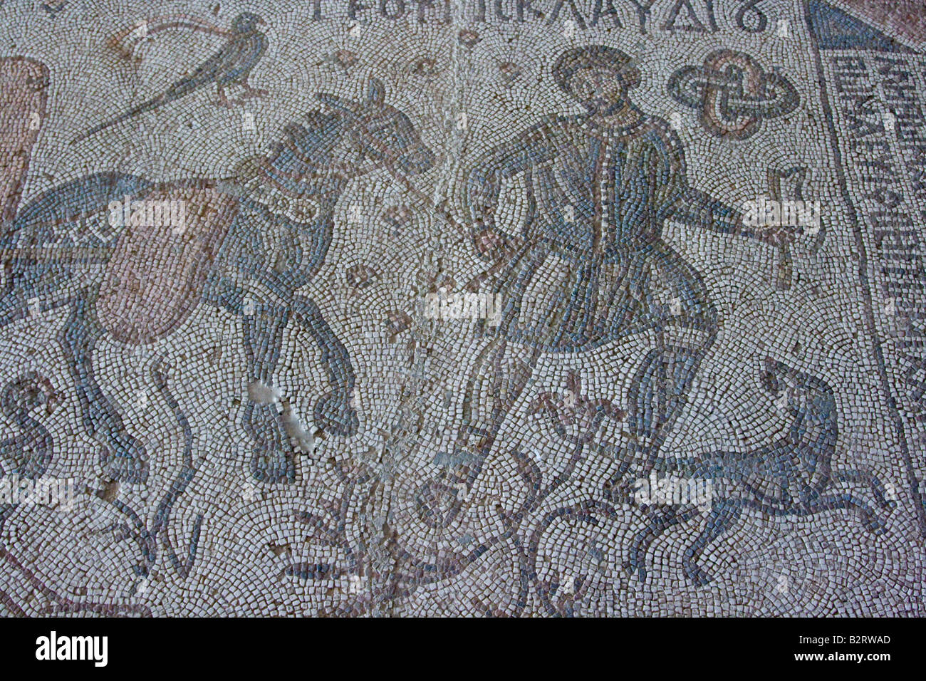 Apamea And Mosaic High Resolution Stock Photography and Images - Alamy