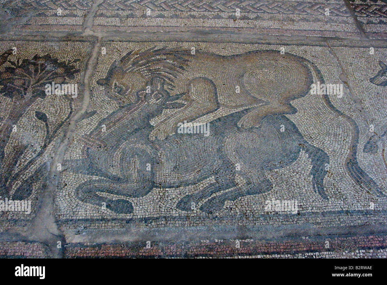 Apamea And Mosaic High Resolution Stock Photography and Images - Alamy