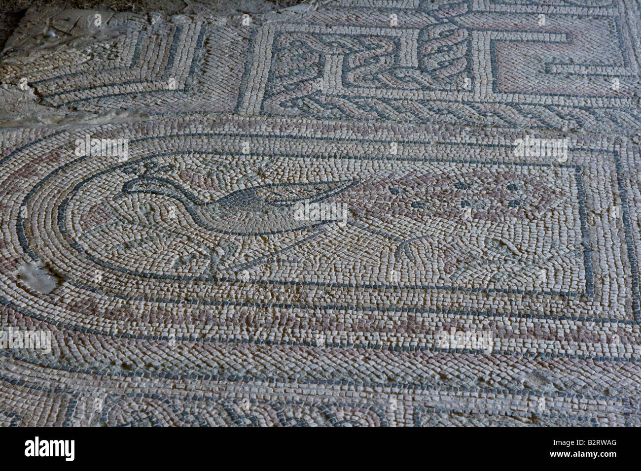 Apamea And Mosaic High Resolution Stock Photography and Images - Alamy