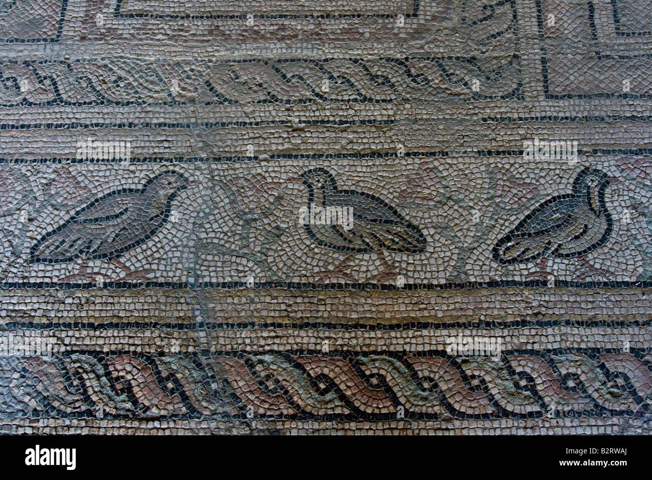 Roman tile mosaic hi-res stock photography and images - Alamy