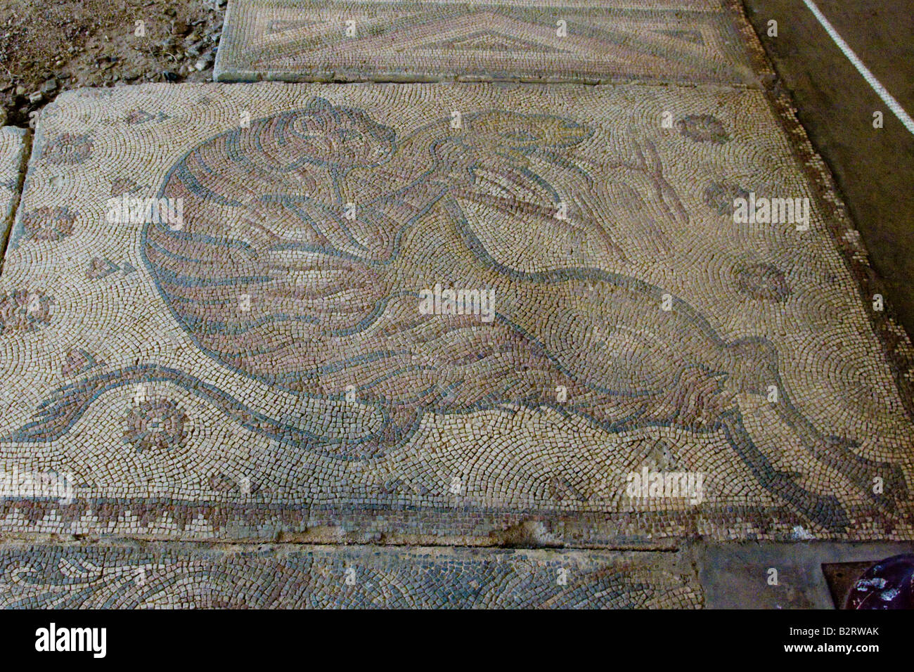 Apamea and mosaic hi-res stock photography and images - Alamy
