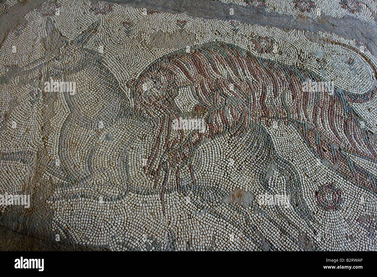 Apamea and mosaic hi-res stock photography and images - Alamy