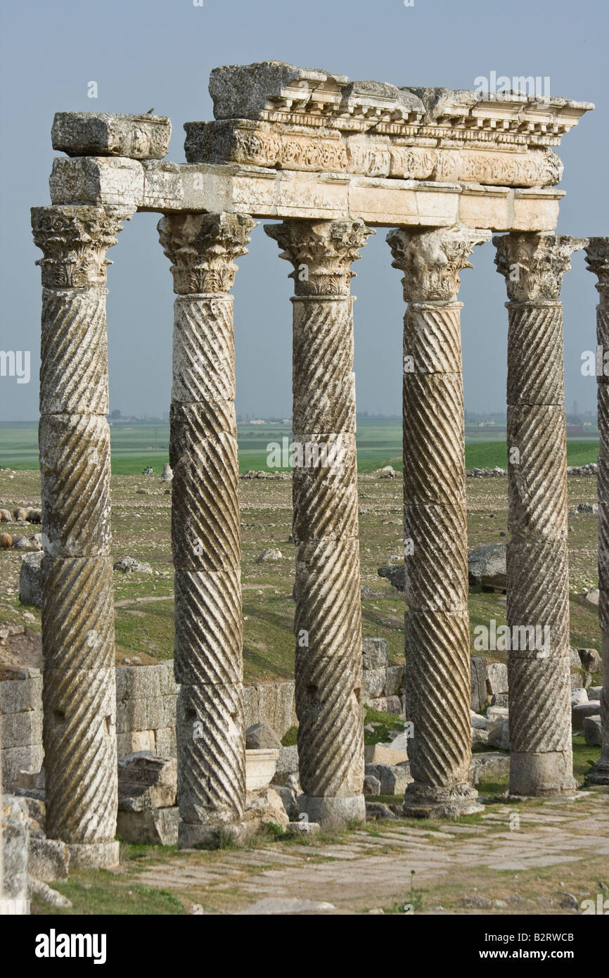 Ancient Roman Colonnade at Apamea Syria Stock Photo - Alamy