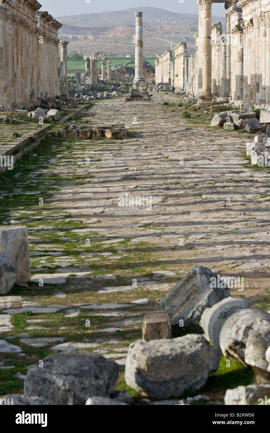 Honourific Column and Collonade at the Roman Ruins of Apamea Syria ...